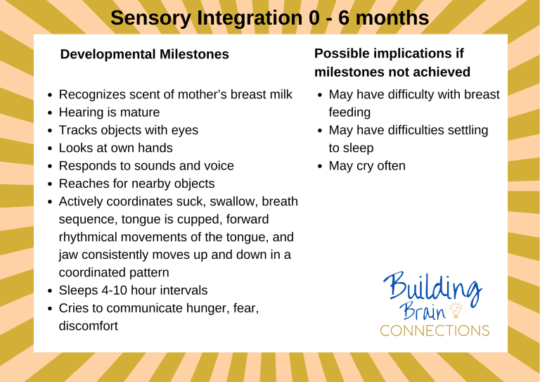 Sensory Processing - What Is It? - Building Brain Connections